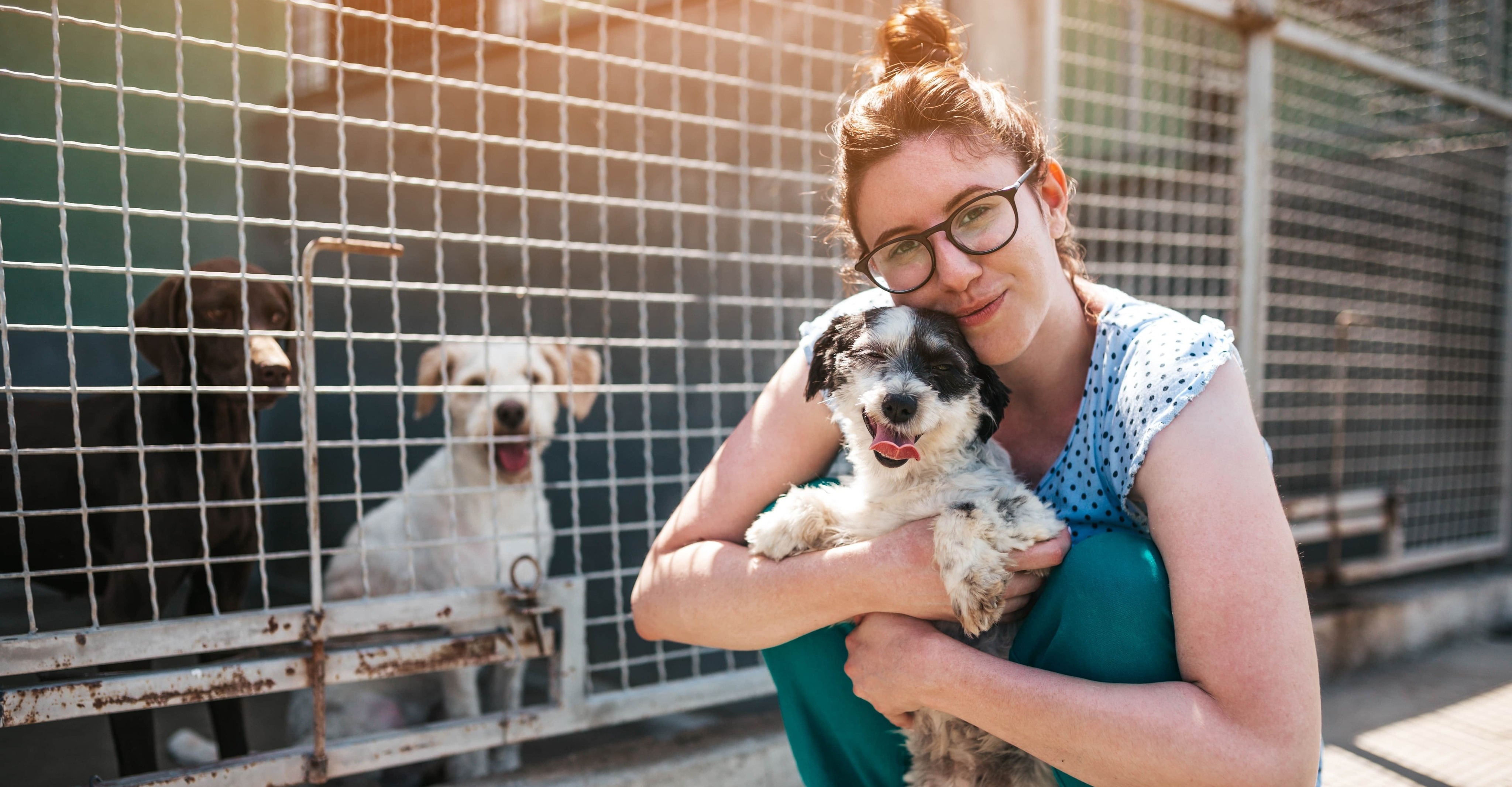Gemeinsam 10.000 € für Tierheime in Deutschland von betterplace.org ...