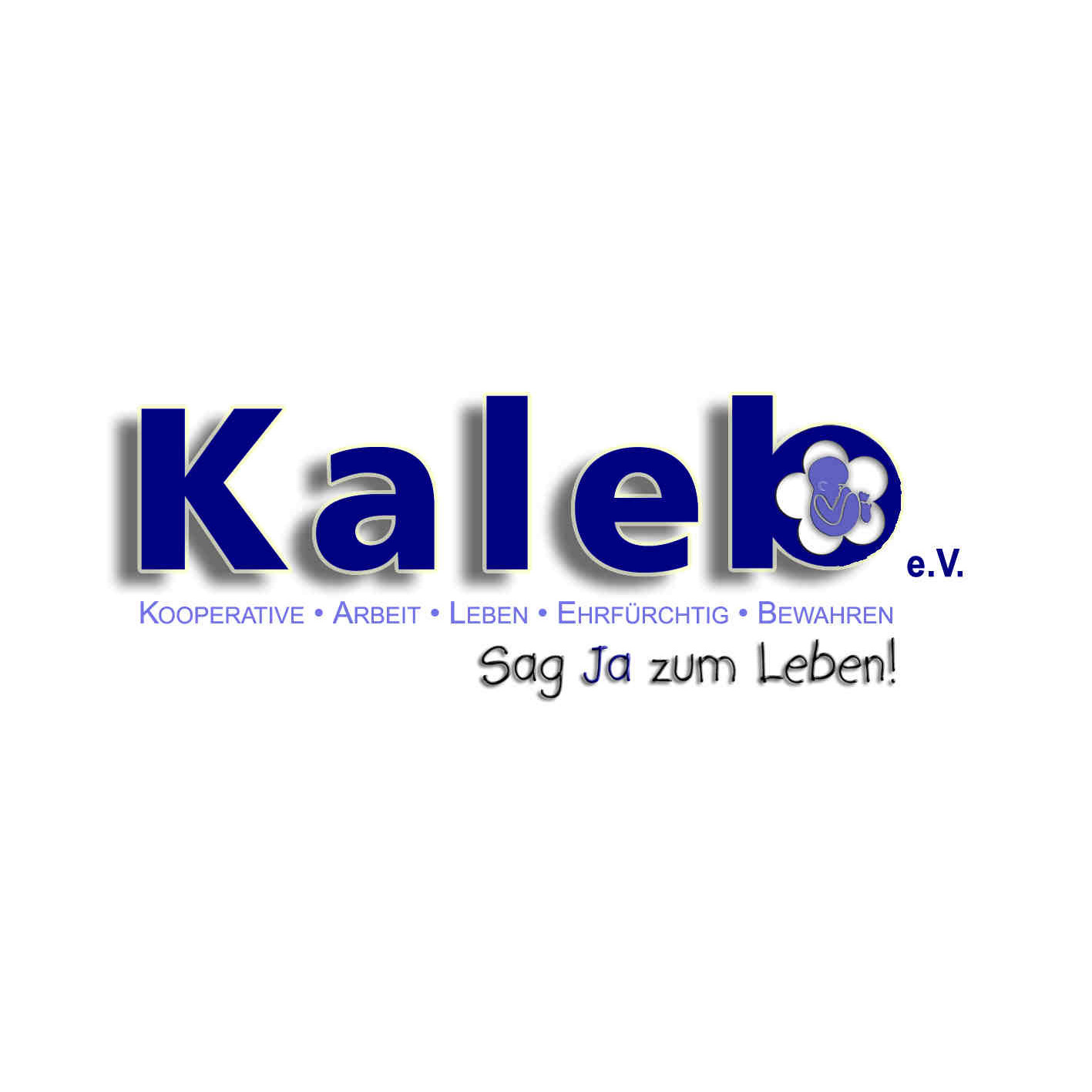 Kaleb-Region Chemnitz e.V.: Spende für unsere Organisation (betterplace ...