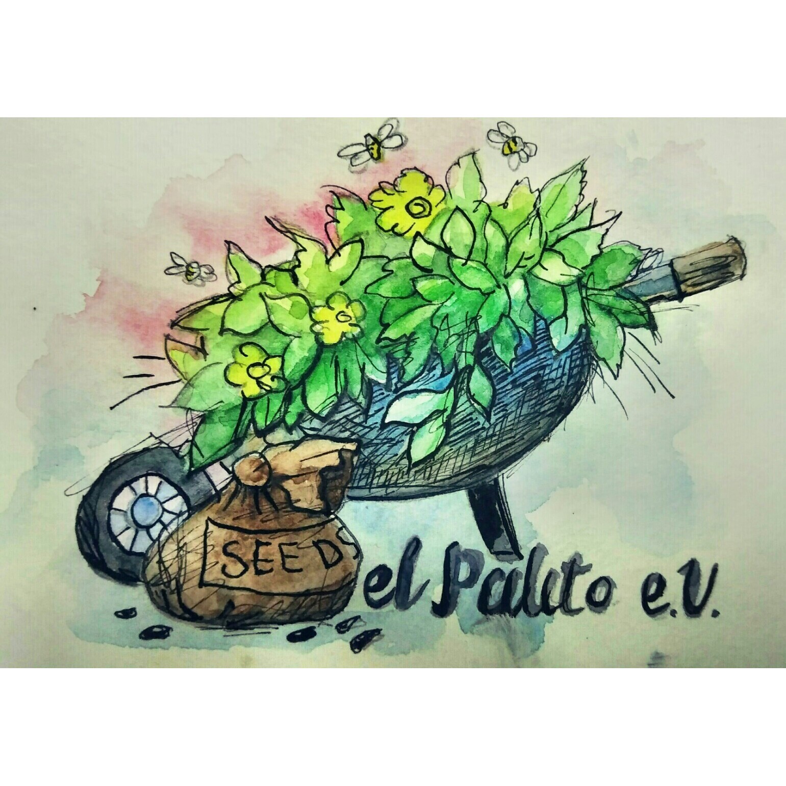 El Palito e.V: Spende für unsere Organisation (betterplace.org)