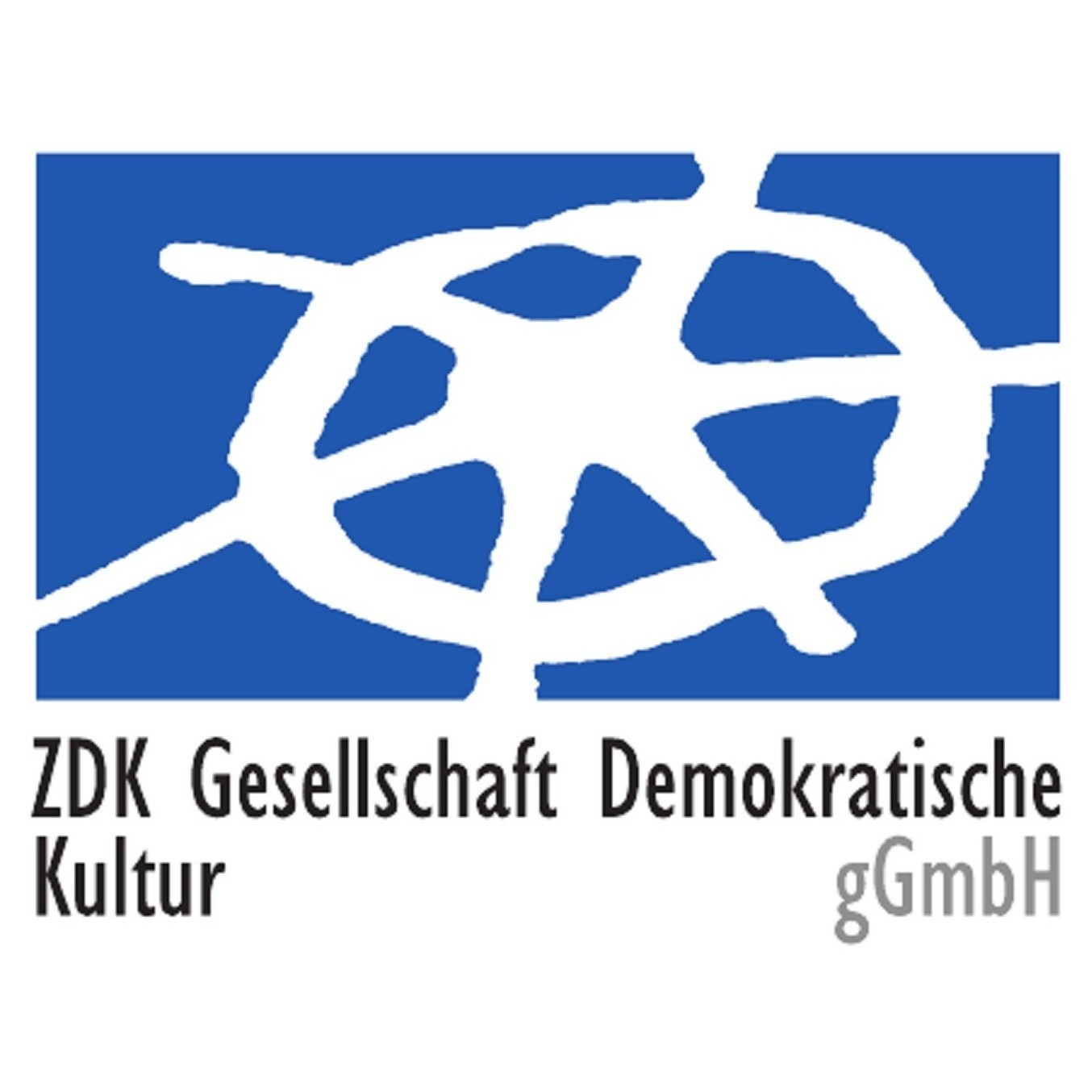 ZDK Gesellschaft Demokratische Kultur gGmbH: Spende für unsere ...