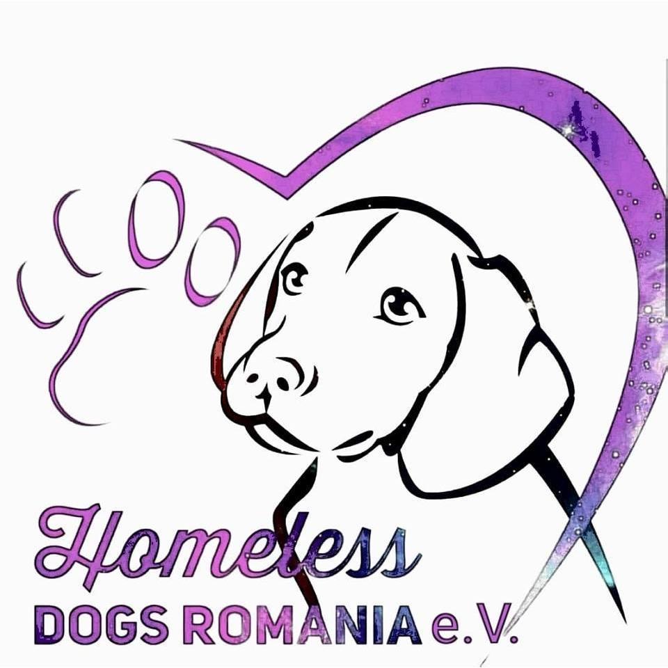 Homeless Dogs Romania e.V.: Spende für unsere Organisation (betterplace ...