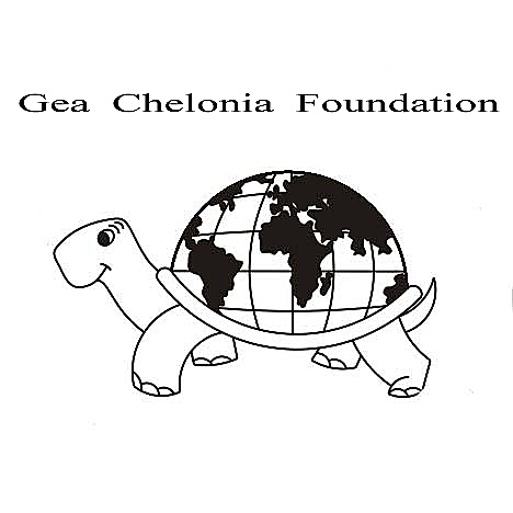 Gea Chelonia Foundation: Spende für unsere Organisation (betterplace.org)