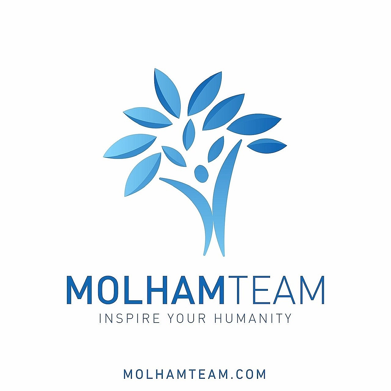 Molham Volunteering Team e.V.: Spende für unsere Organisation ...