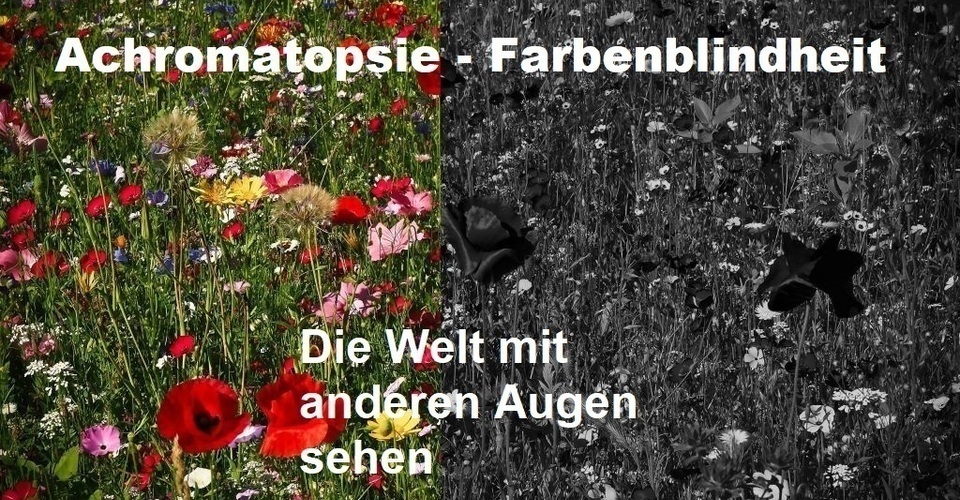 Achromatopsie Selbsthilfe e.V. – Achromatopsie Selbsthilfe e.V ...