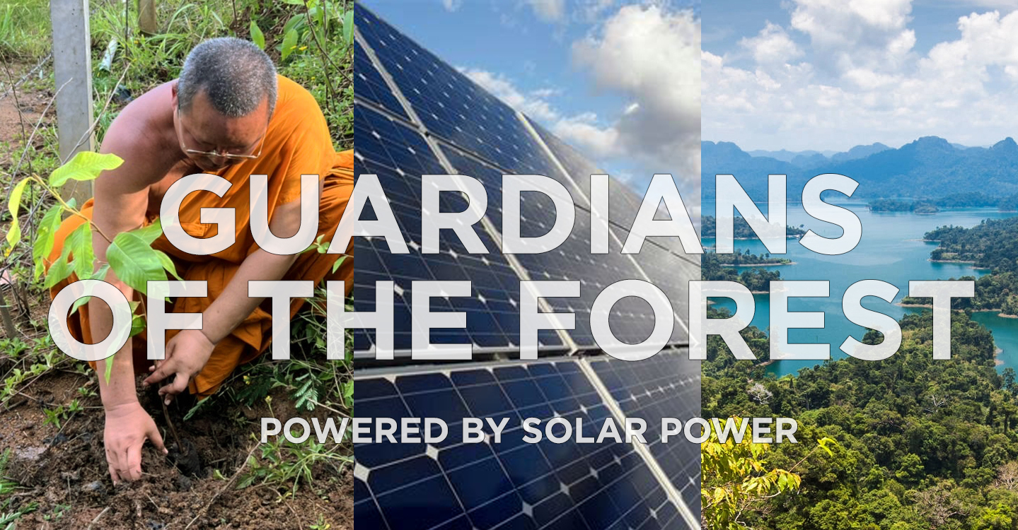 Guardians of the Forest - Powered by solar power – Mindfulness Project ...