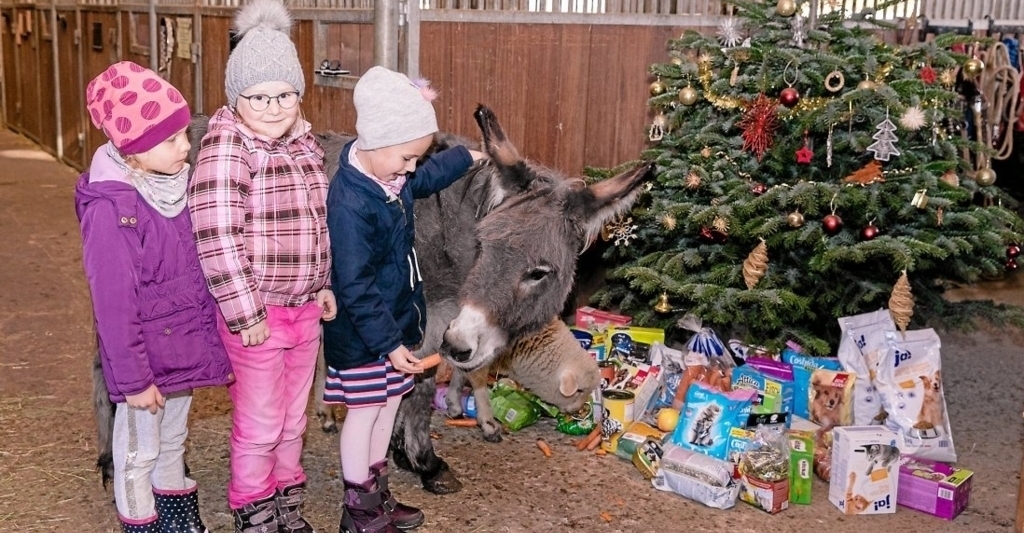 Unsere Bildungsarbeit "bewusster Umgang von Natur und Tier" braucht ...