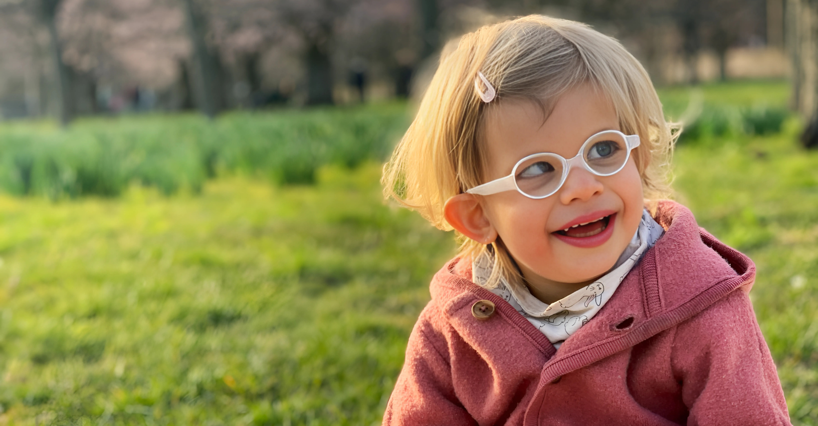 Global Steps for MEF2C Haploinsufficiency Syndrome (MCHS) – MEF2C ...
