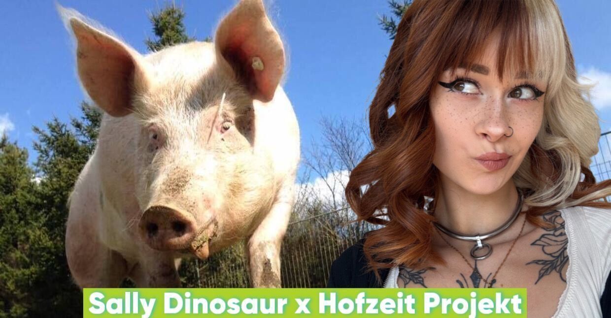 Sally Dinosaur x Hofzeit Projekt – Meat the Piglets e.V. – betterplace.org