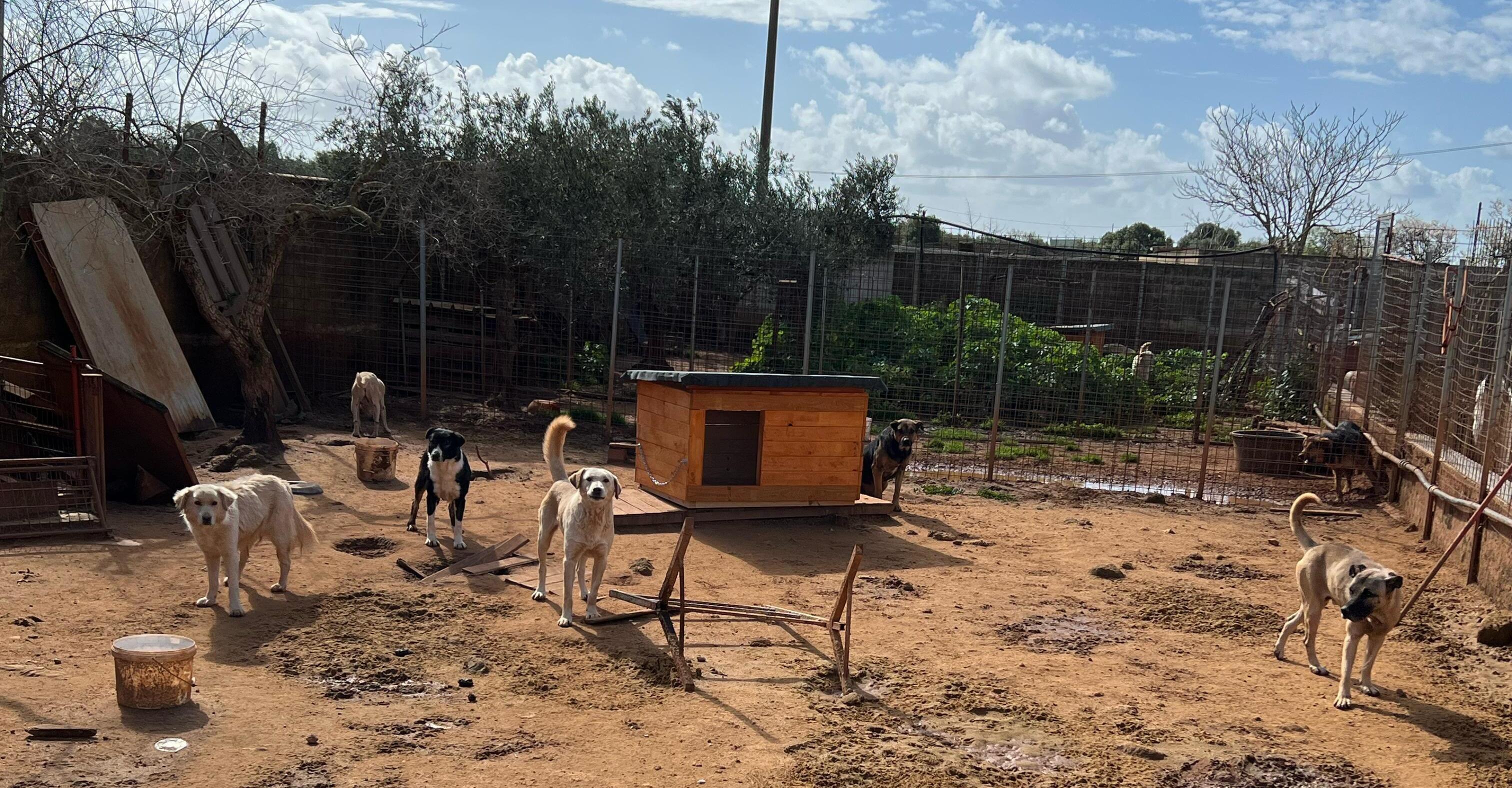 Wir haben 12.690,79 € Spendengelder erhalten – News by “A better life ...